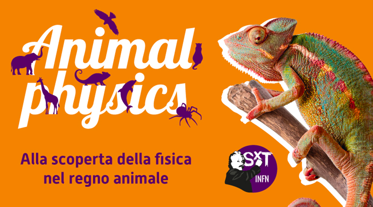 "Animal Physics!": Al via il concorso di ScienzaPerTutti per le scuole ...